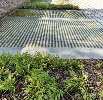 Hydro Lineo tegel | 30x30x10 mm | 40mm | Grijs | Zeeland Tuinmaterialen BV